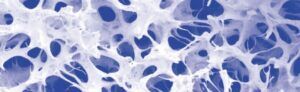 PVA Sponge - High-Performance, Customizable Cleaning Solutions with ...